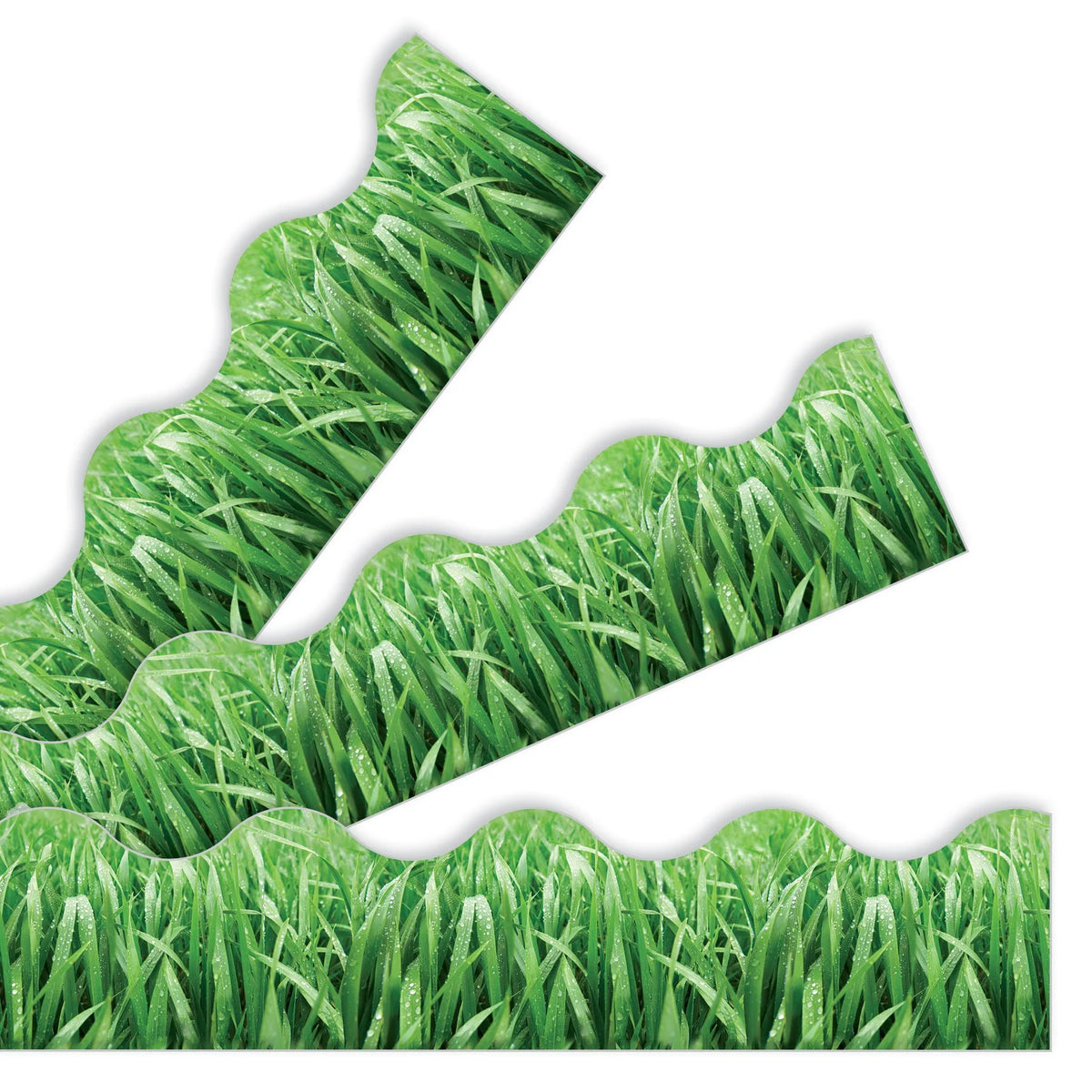 Trend Grass Terrific Trimmers (T 92386) – Ramrock School & Office Supplies